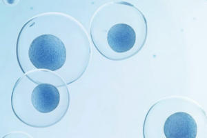 SEED Biosciences | DISPENCELL